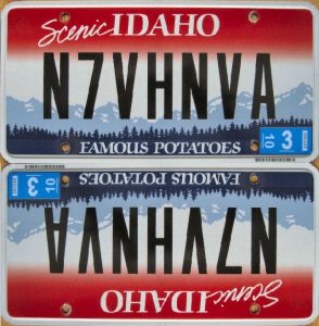 Van Halen Plates | Van Halen Plates
